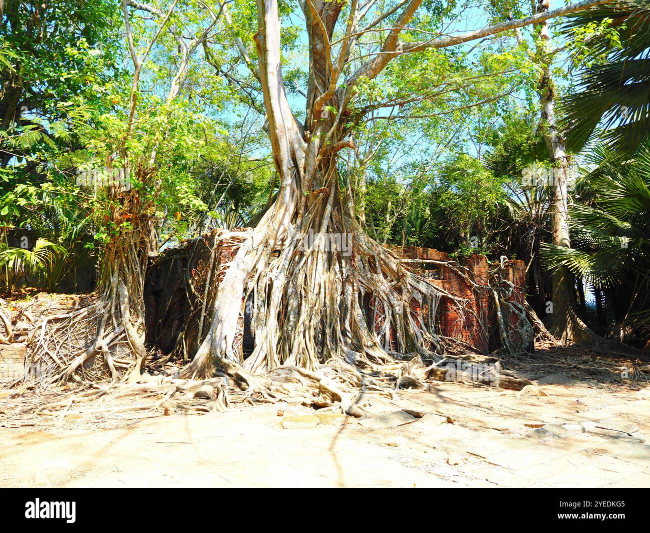 Port Blair, Andaman and Nicobar Islands, Andaman Sea, India Stock Photo ...