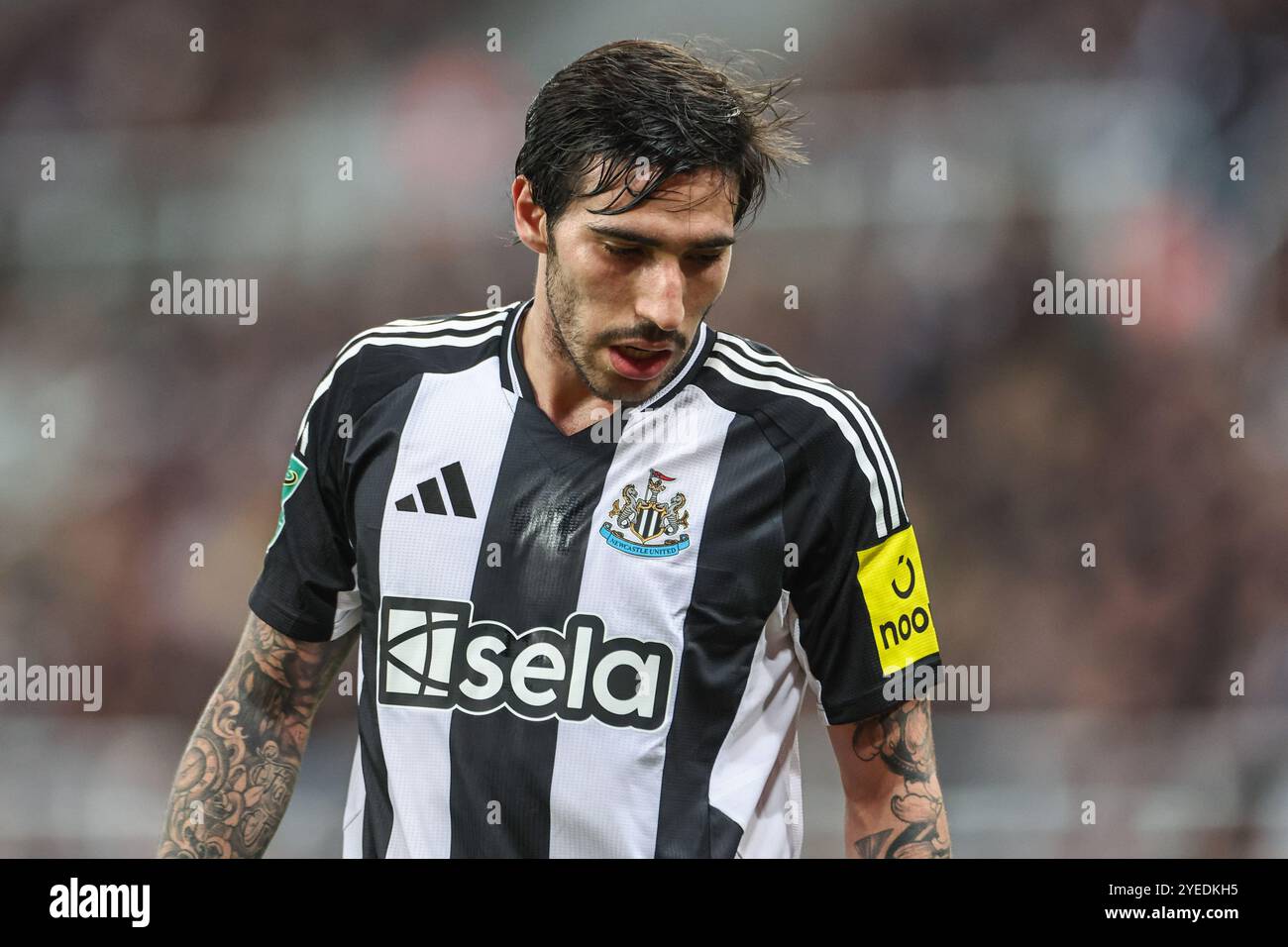 Sandro Tonali of Newcastle United during the Carabao Cup Last 16 match ...