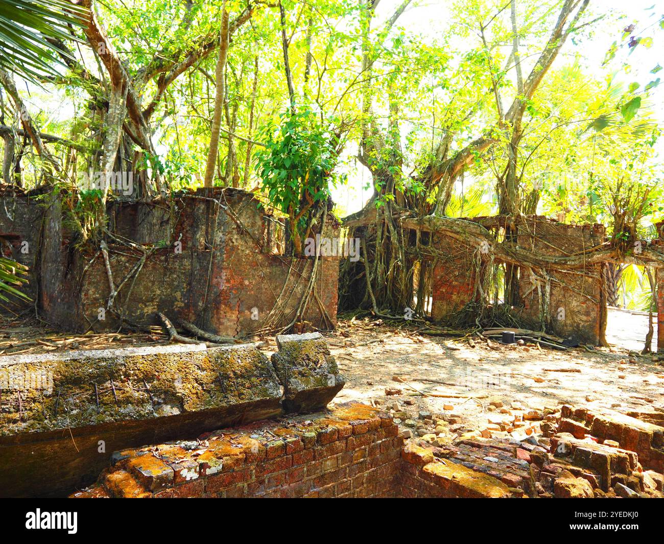 Port Blair, Andaman and Nicobar Islands, Andaman Sea, India Stock Photo ...