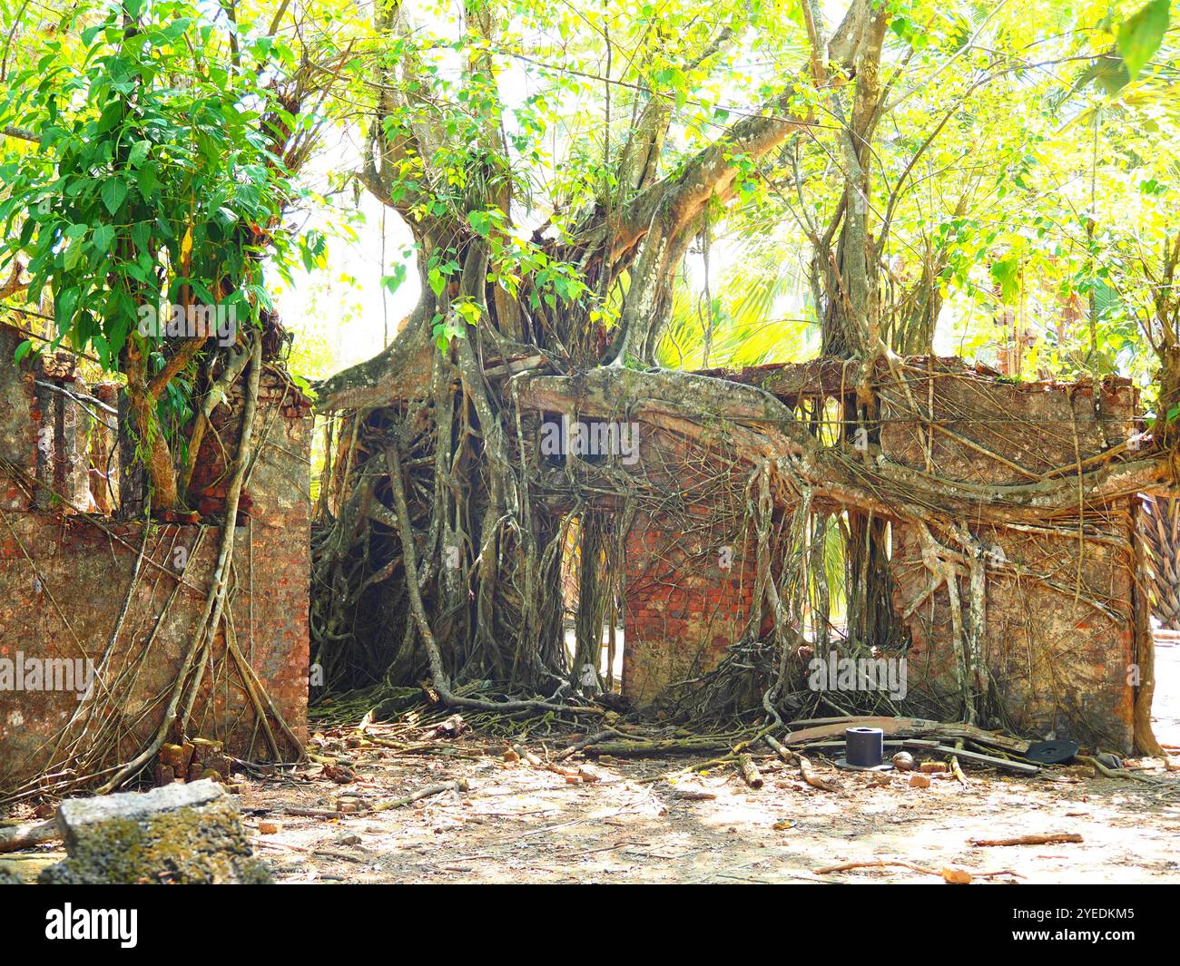 Port Blair, Andaman and Nicobar Islands, Andaman Sea, India Stock Photo ...