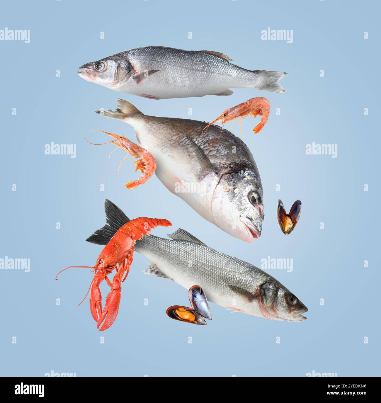 Different sea food in air on light blue background Stock Photo - Alamy