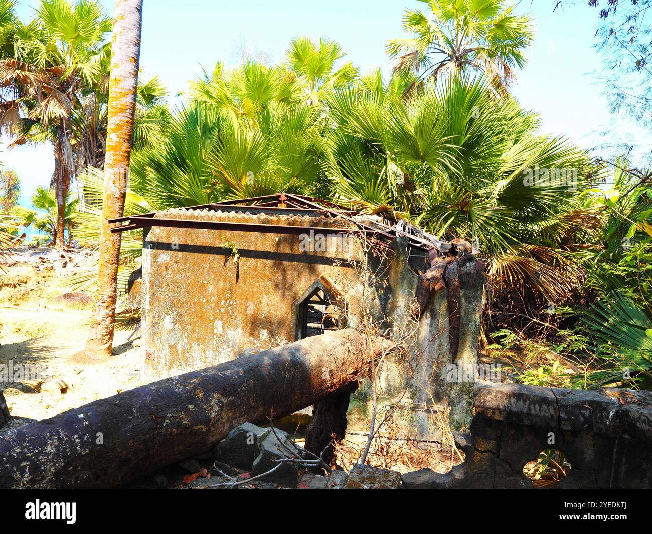 Port Blair, Andaman and Nicobar Islands, Andaman Sea, India Stock Photo ...