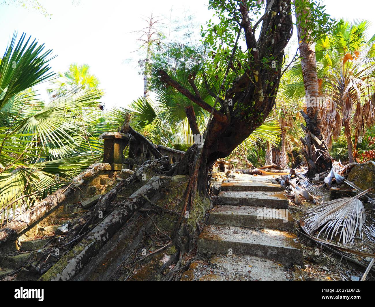 Port Blair, Andaman and Nicobar Islands, Andaman Sea, India Stock Photo ...