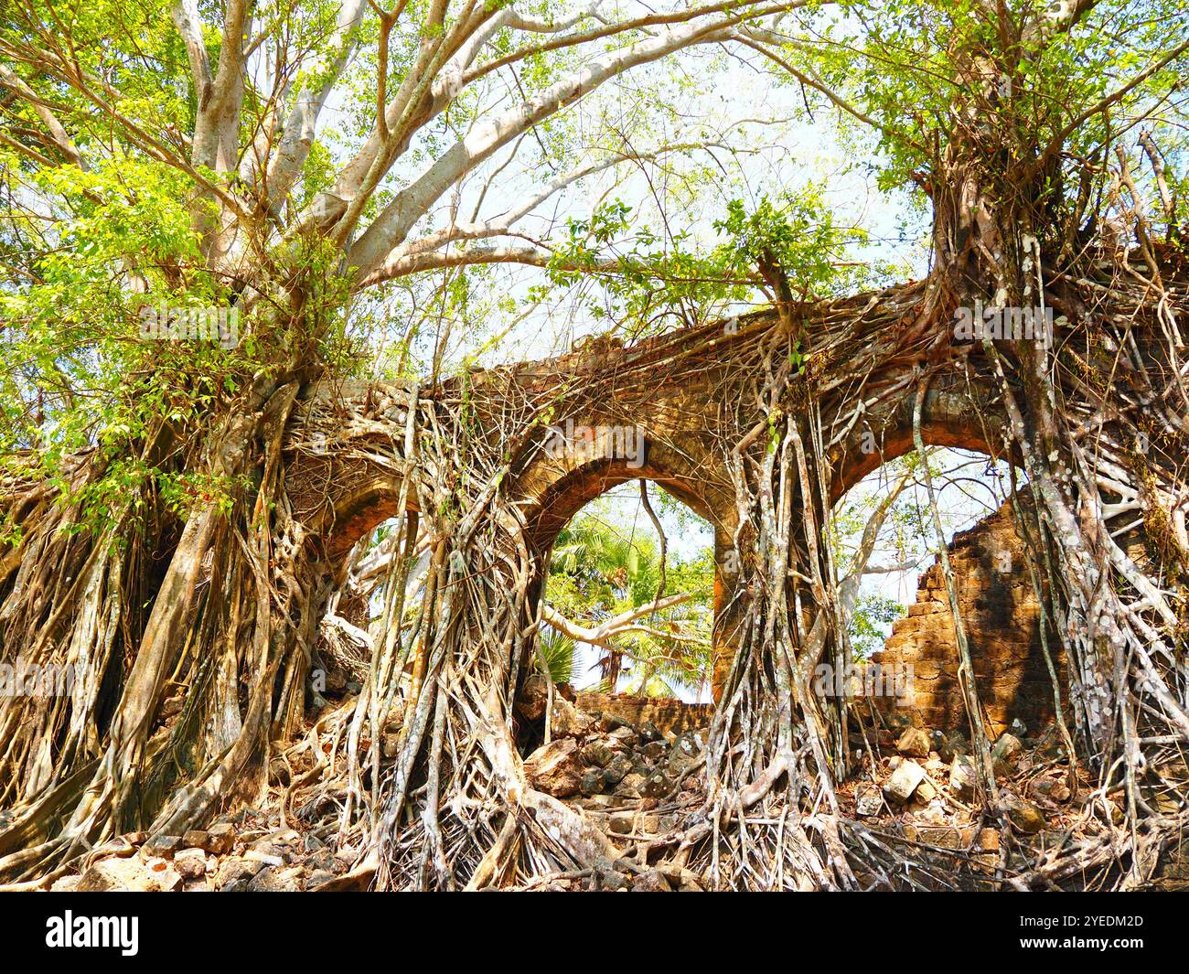 Andaman nicobar islands diving hi-res stock photography and images - Alamy