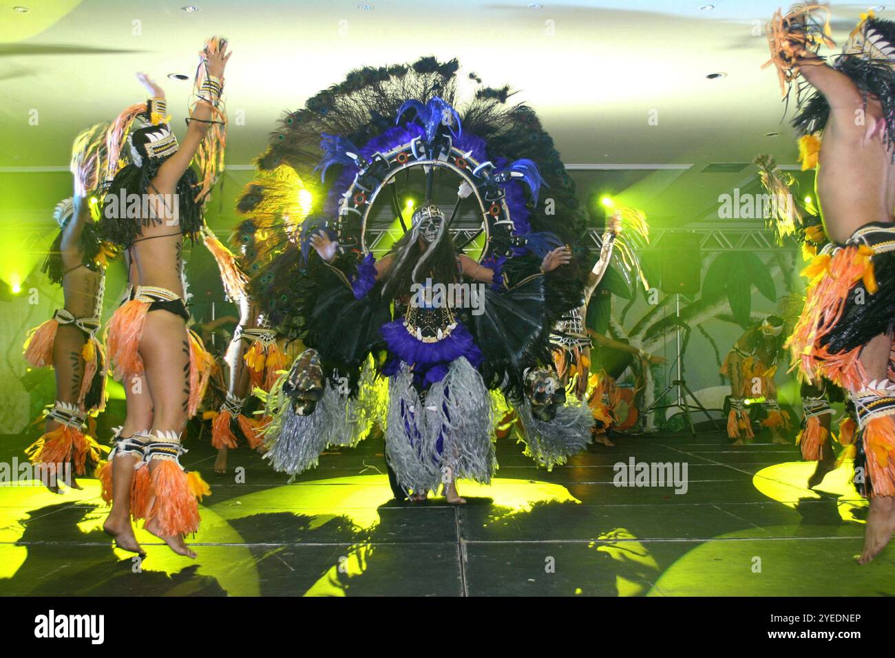 Brazil amazon rainforest tribe ritual hi-res stock photography and ...