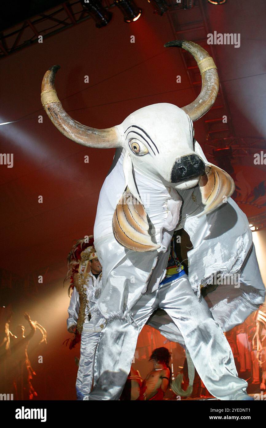 Parintins Folklore Festival (Festival Folclórico de Parintins) is a ...