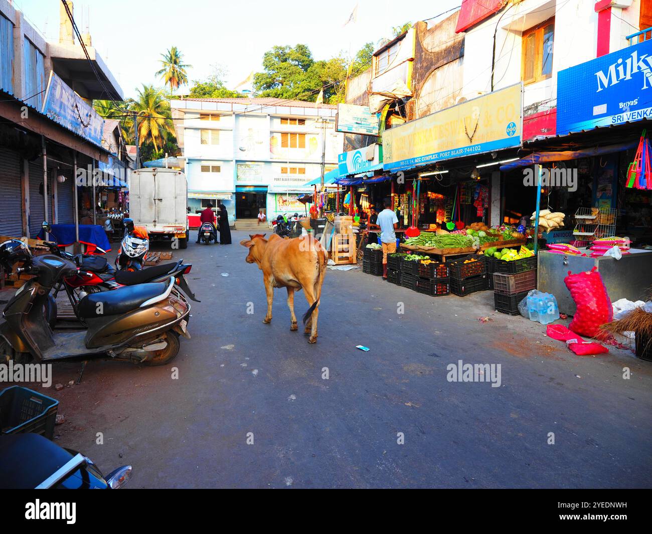Port Blair, Andaman and Nicobar Islands, Andaman Sea, India Stock Photo ...