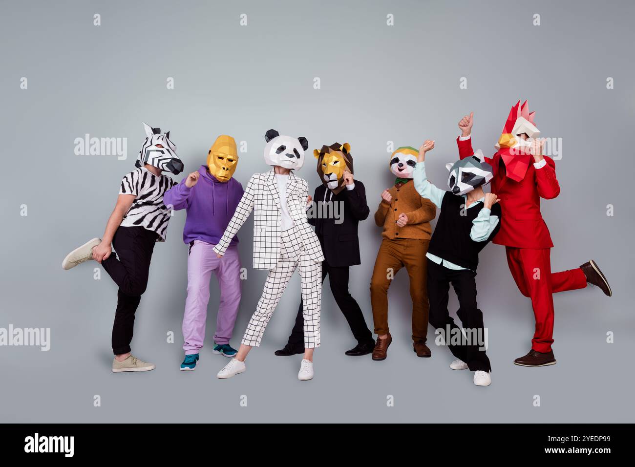 Full size photo of zebra gorilla raccoon lion panda sloth rooster mask ...