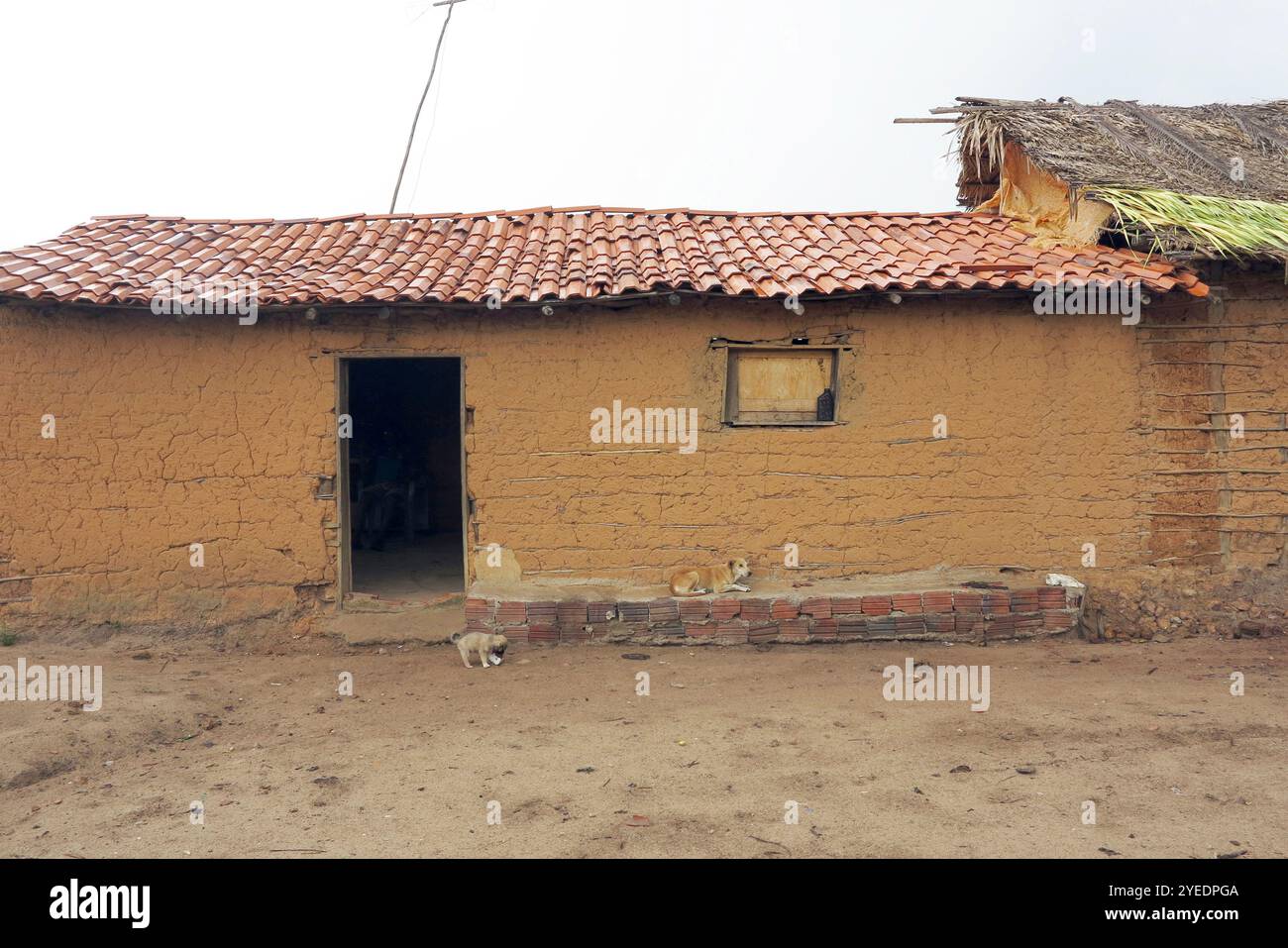 Brazil rural poverty hi-res stock photography and images - Alamy