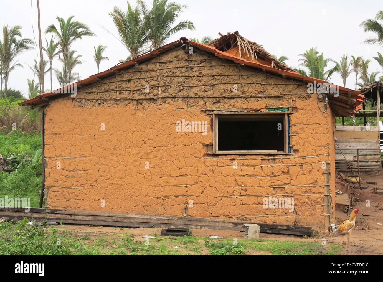 poor house made with clay, named "pau a pique, in Brazil Stock Photo ...