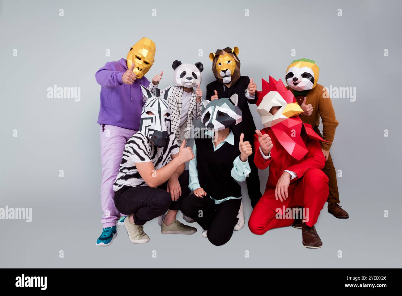 Full size photo of zebra gorilla raccoon lion panda sloth rooster mask ...