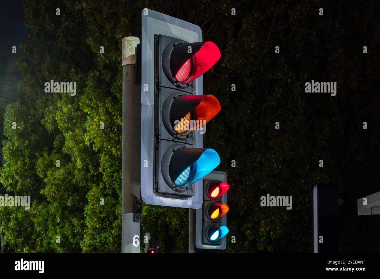 Traffic light showing red, orange and blue signals at night, with trees ...