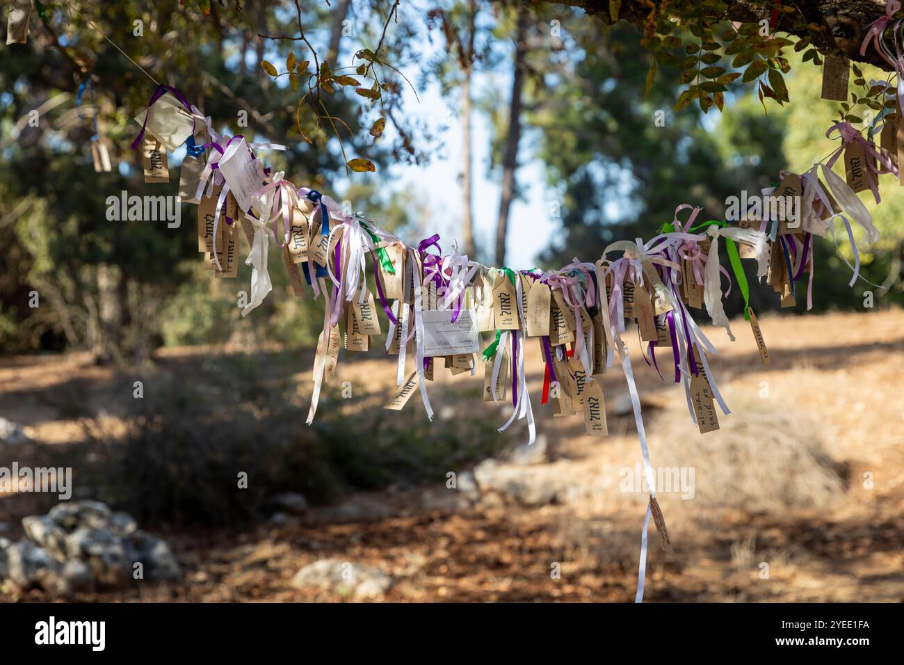 Ribbons and signs with 'Make a Wish' written on them hang from a rope ...