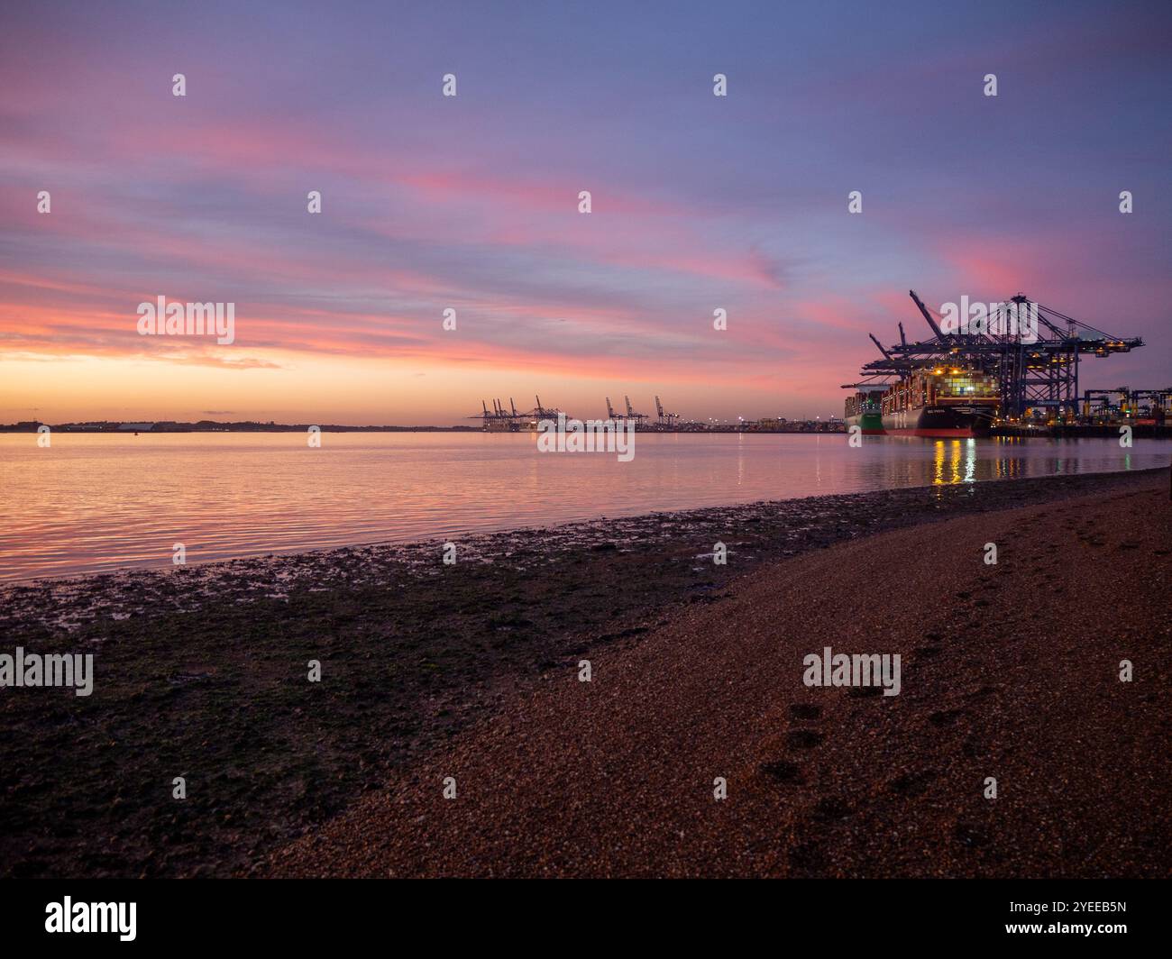 Port of Felixstowe with MSC Freya berthed Stock Photo - Alamy