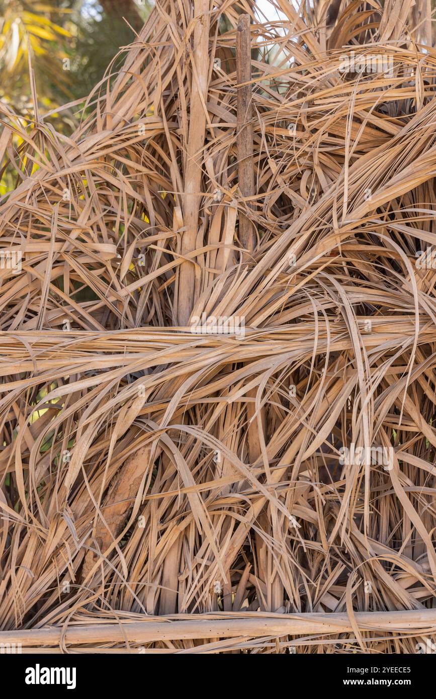 Bahareya oasis hi-res stock photography and images - Alamy
