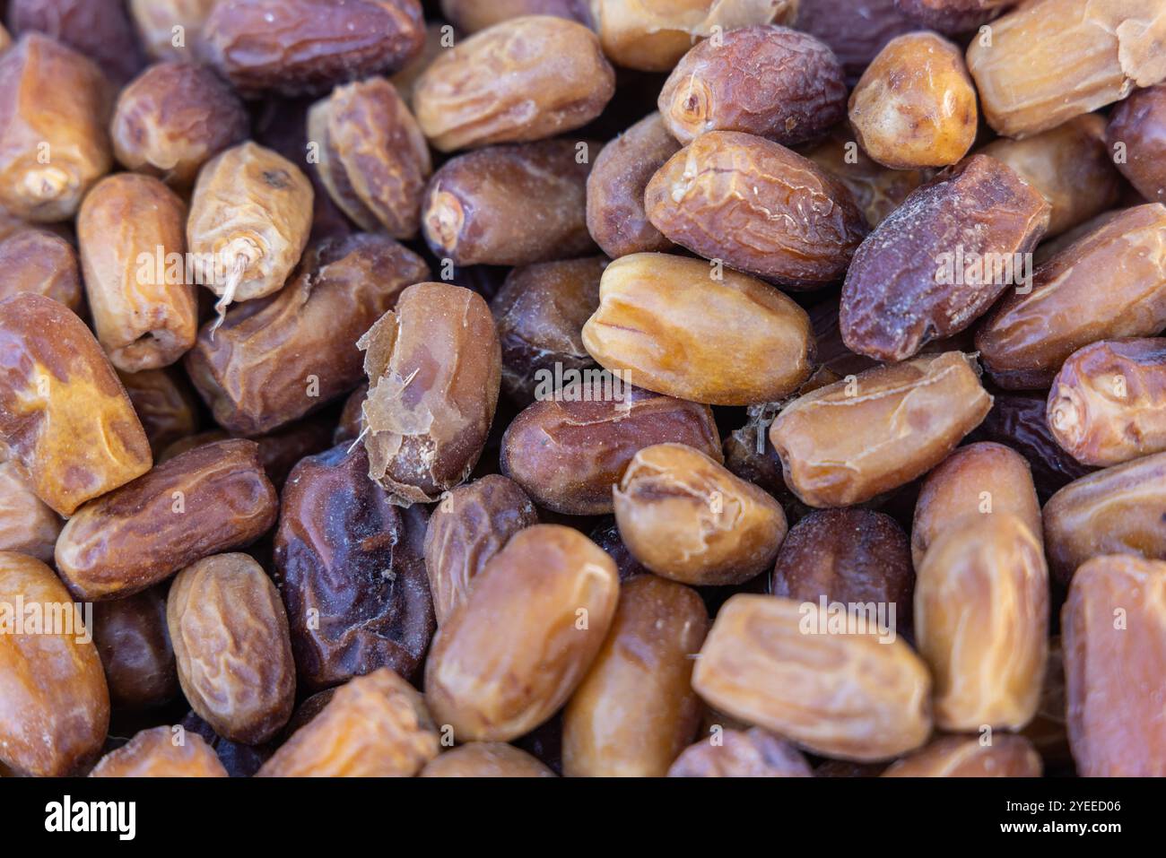 Al baharia hi-res stock photography and images - Alamy