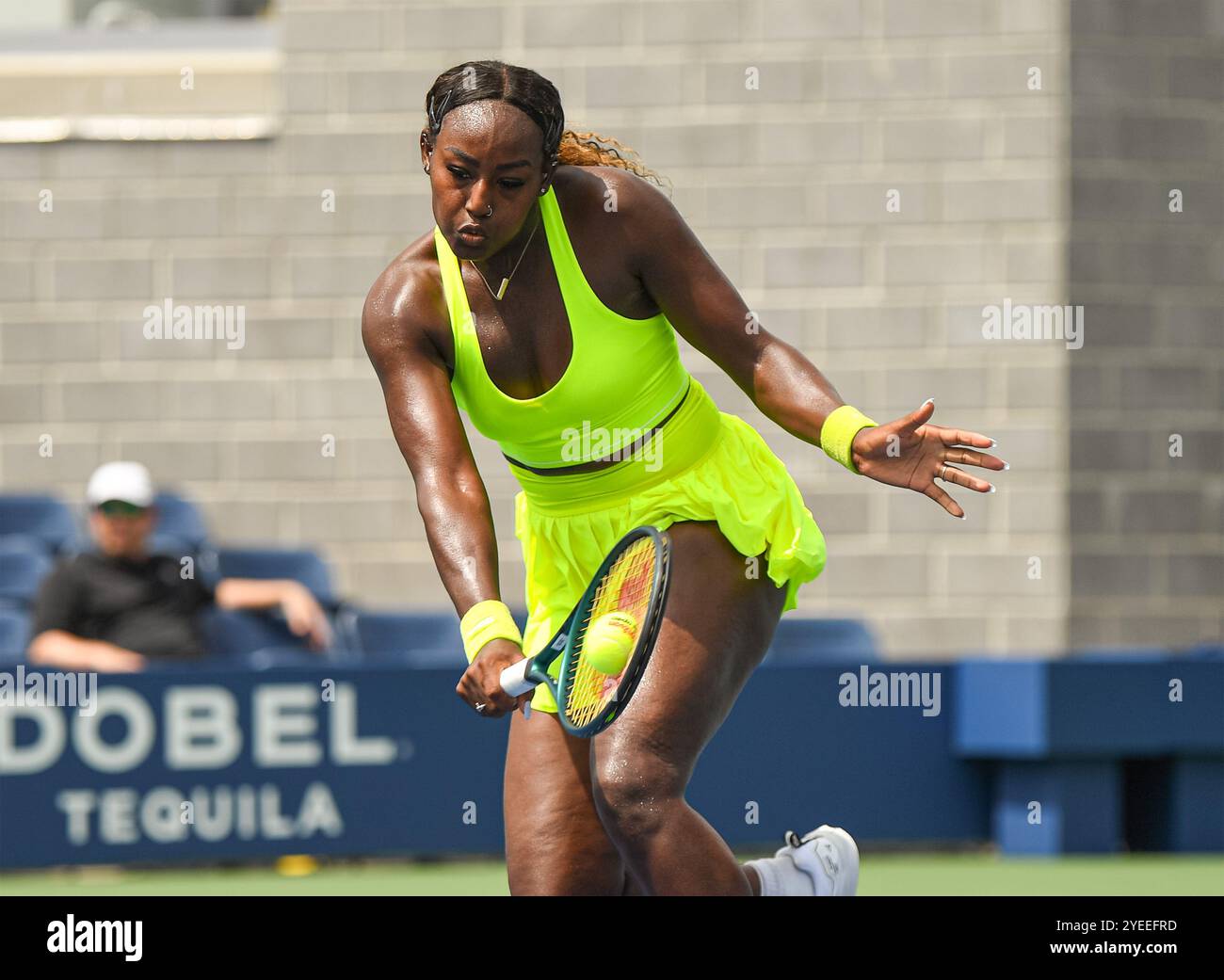 Alycia parks hi-res stock photography and images - Alamy
