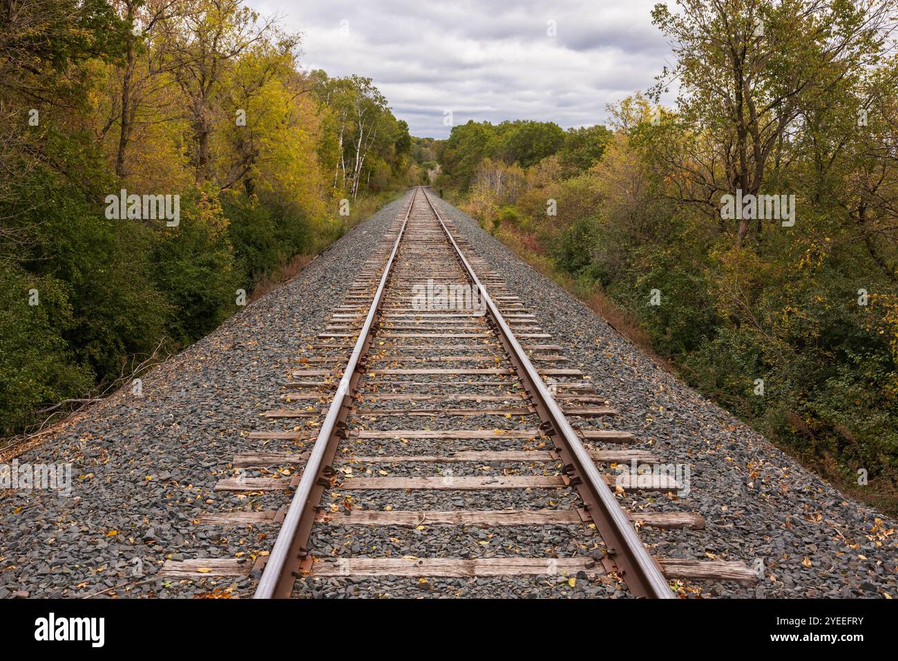 A railroad track in the woods during autumn Stock Photo - Alamy