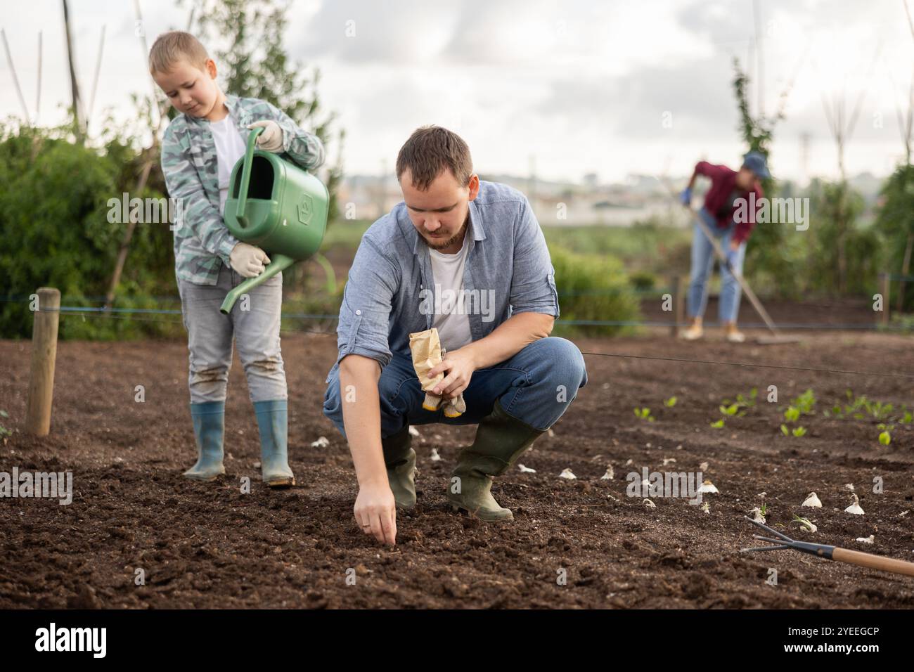 Man planting seeds boy watering beds Stock Photo - Alamy