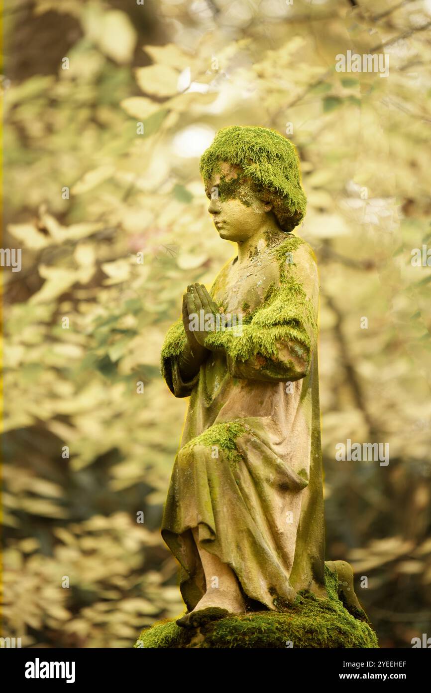 ancient praying boy figure covered with moss in an old cemetery in ...