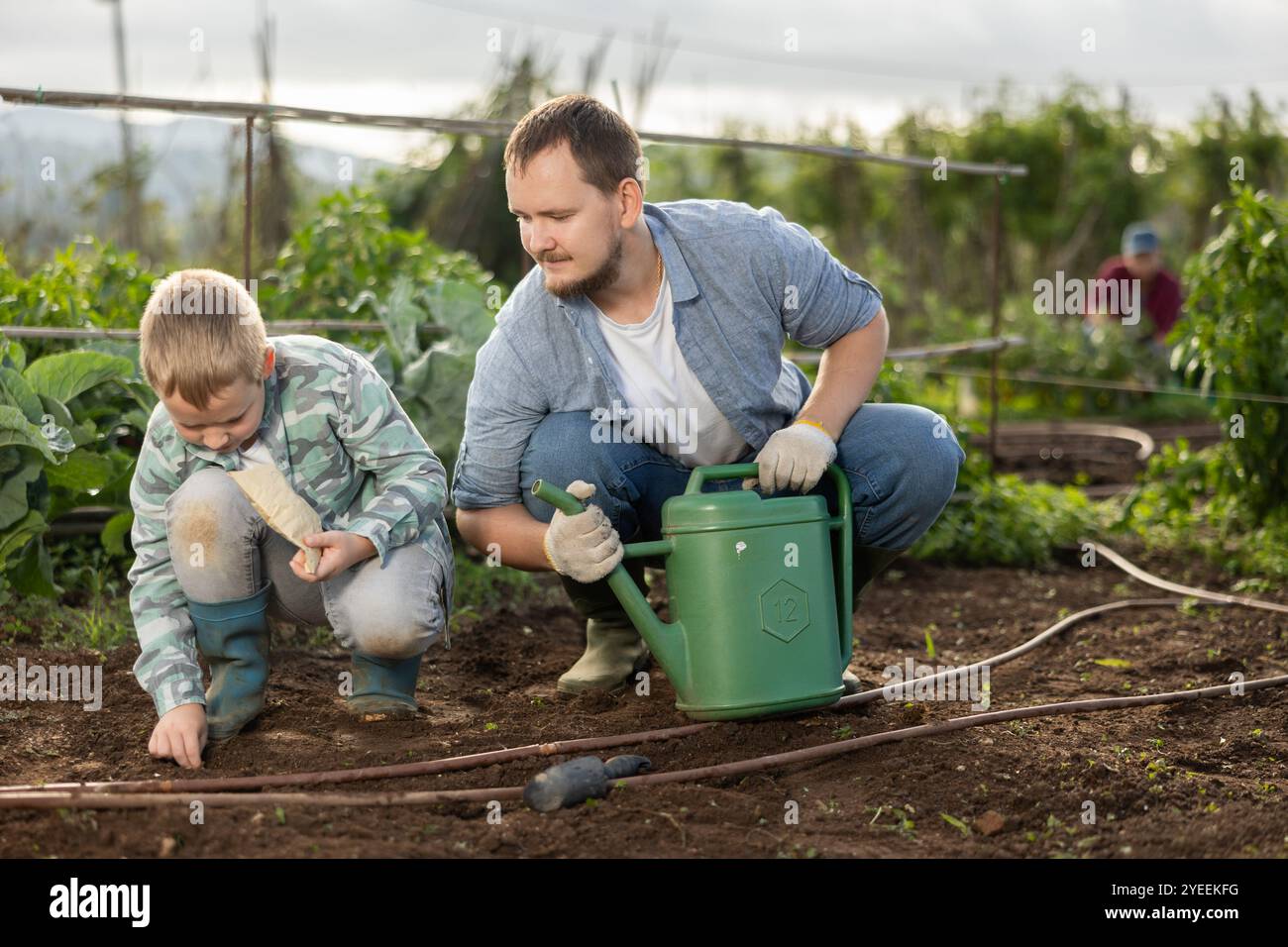 Man and his son planting seeds on a farm Stock Photo - Alamy