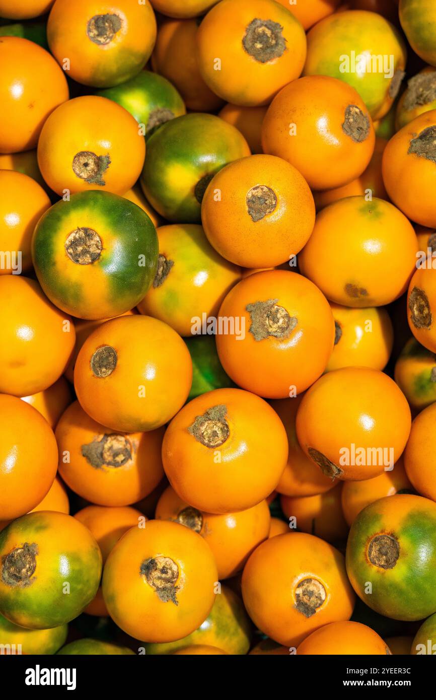 Lulo tropical fruit in Colombian market square - Solanum quitoense ...