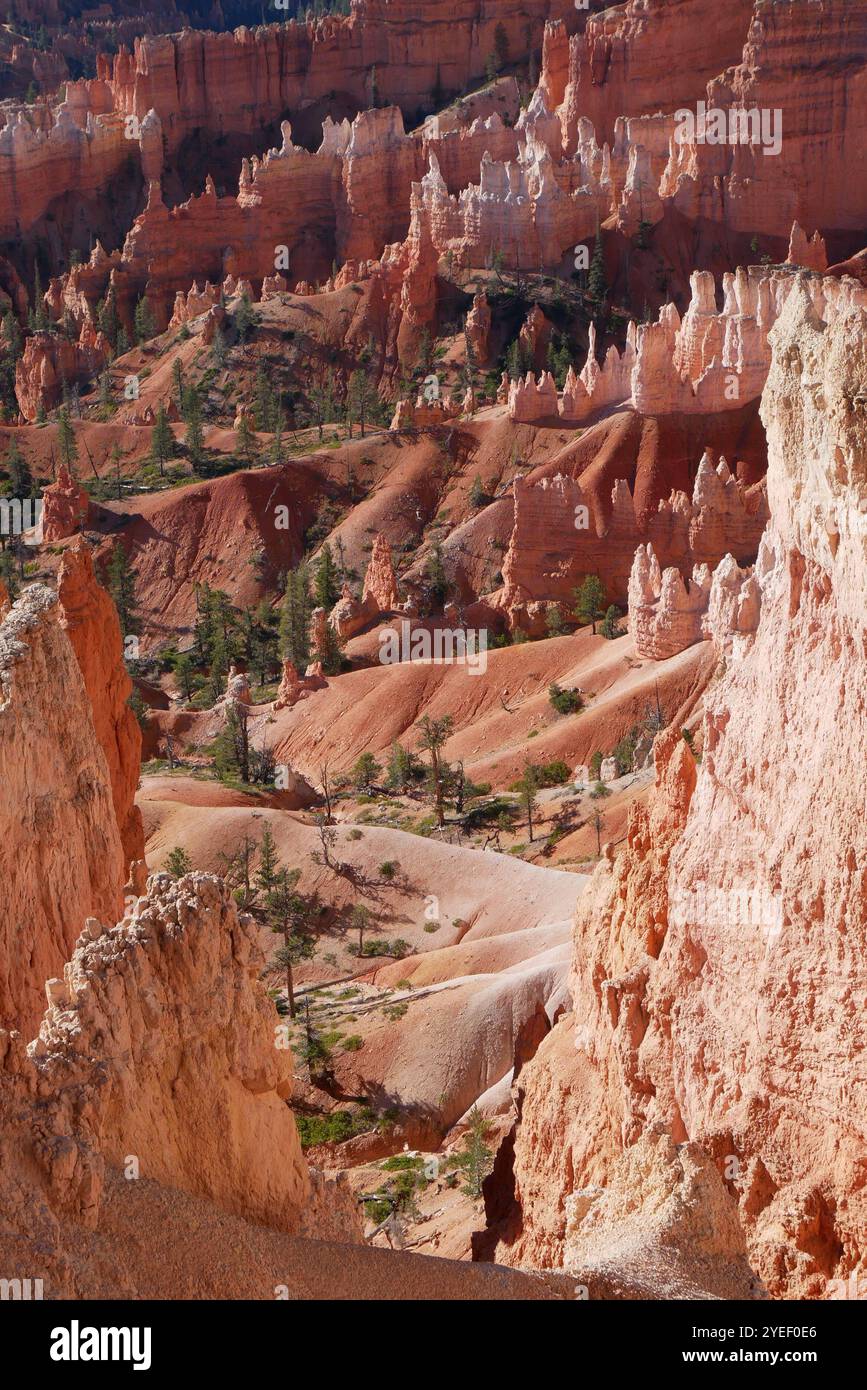 Bryce amphitheater hike hi-res stock photography and images - Alamy