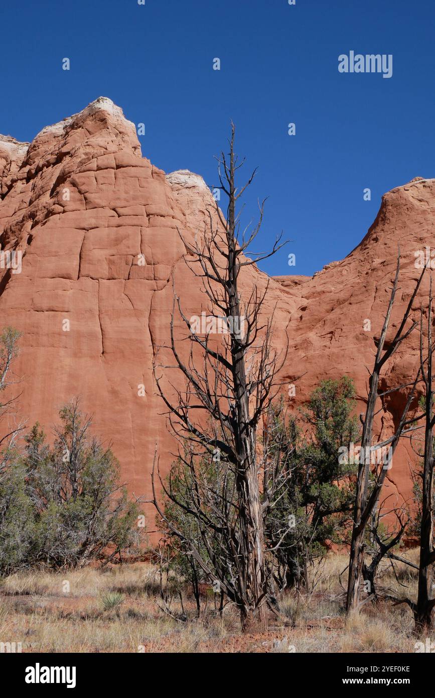 Sandstone features in Kodachrome Basin State Park, Utah, USA Stock ...