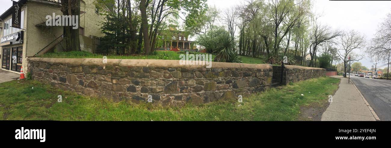 gold dust lichen (Chrysothrix candelaris Stock Photo - Alamy