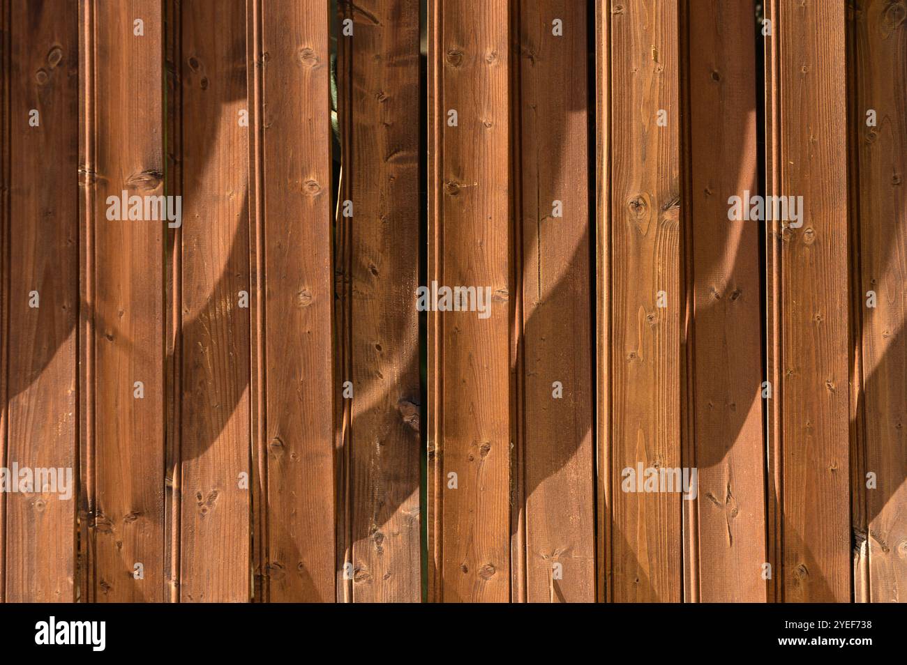 Patterns of sunlight create beautiful shadows on the wooden fence ...