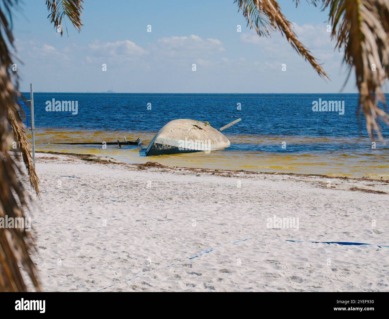 Framed by Palm Fronds Sailboat turned upside down on beach. After storm ... Framed by Palm Fronds Sailboat turned upside down on beach. After storm ...