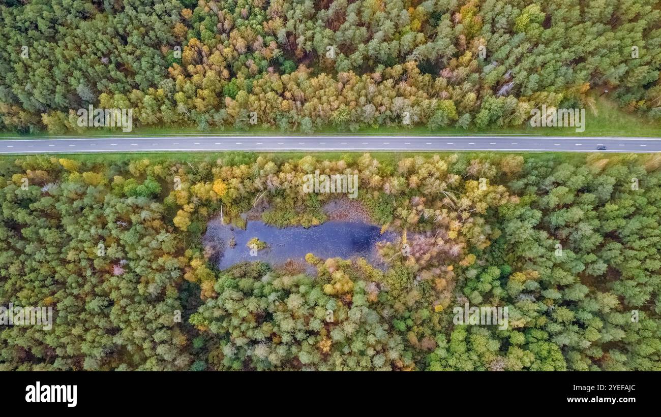 Autumn nameless lake from above in Lithuanian forests, Dzukija National ...