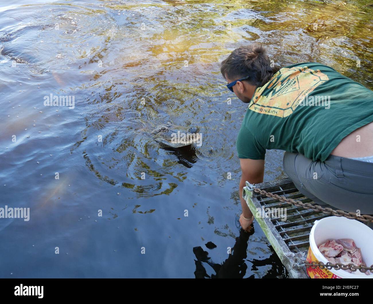 Louisianas bayou country hi-res stock photography and images - Alamy