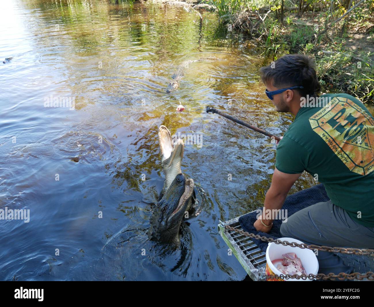 Louisianas bayou country hi-res stock photography and images - Alamy
