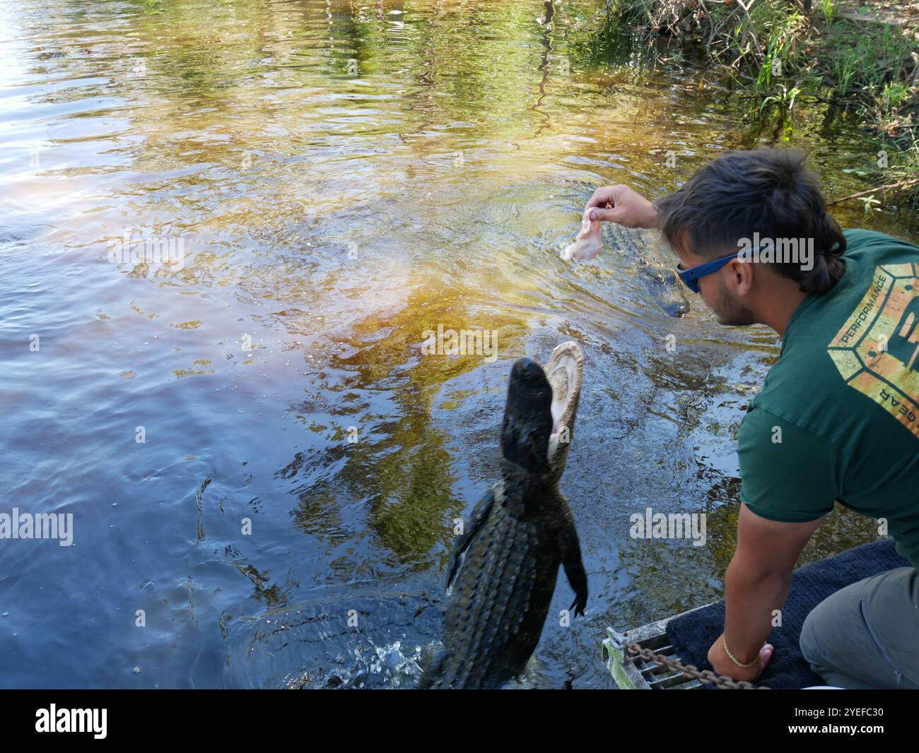 Louisiana Bayou Country, USA Stock Photo - Alamy
