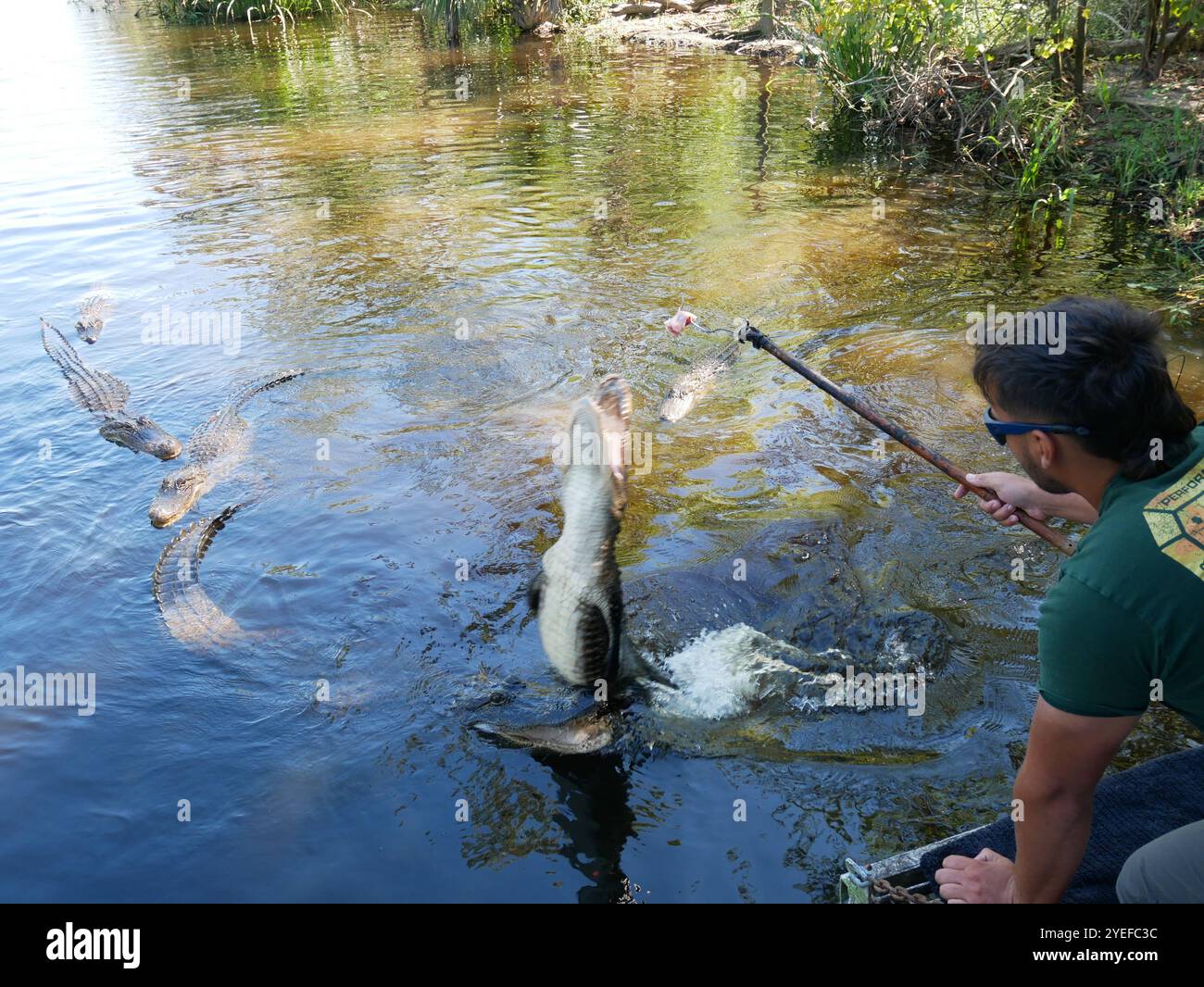 Louisianas bayou country hi-res stock photography and images - Alamy