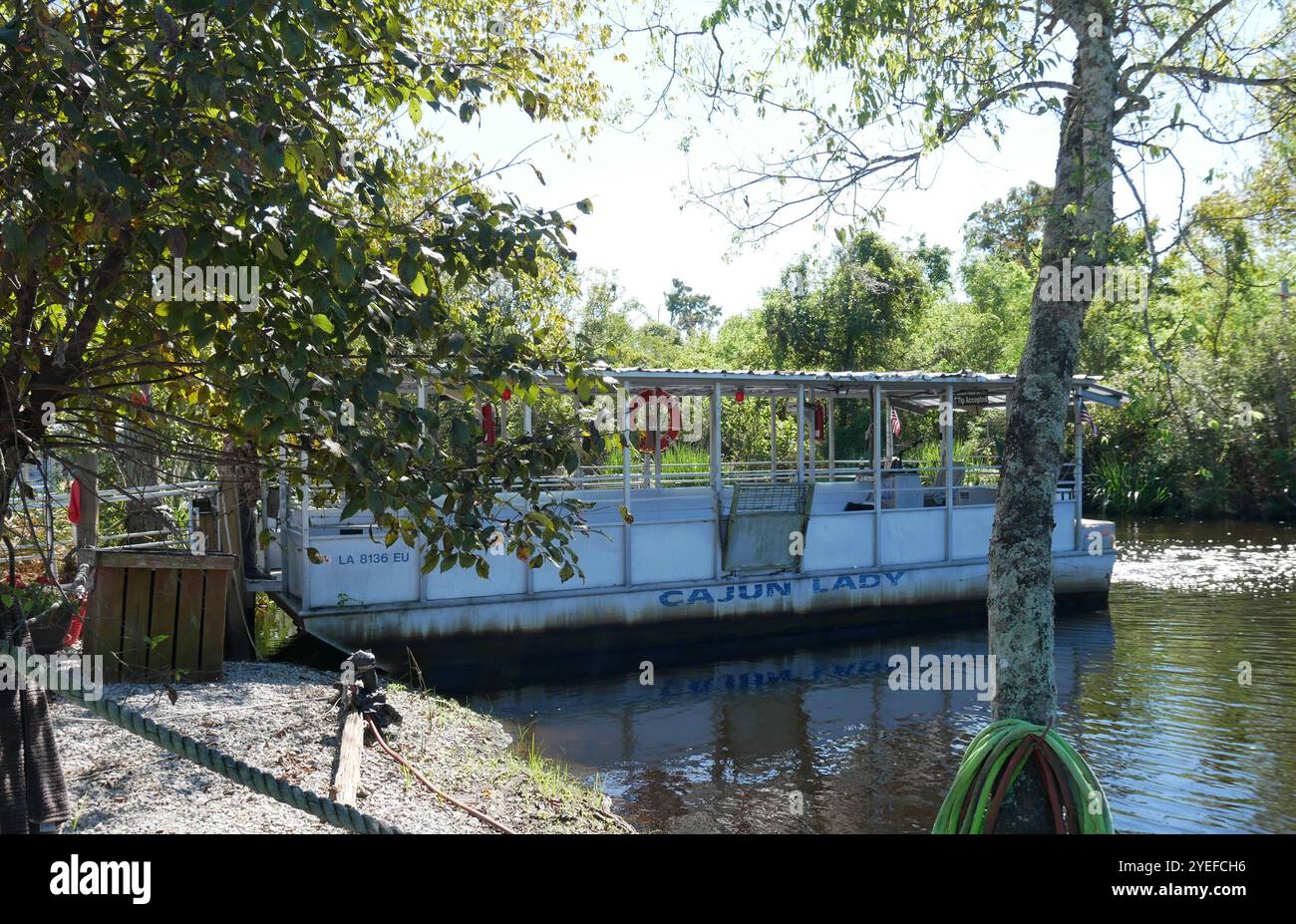 Louisianas bayou country hi-res stock photography and images - Alamy