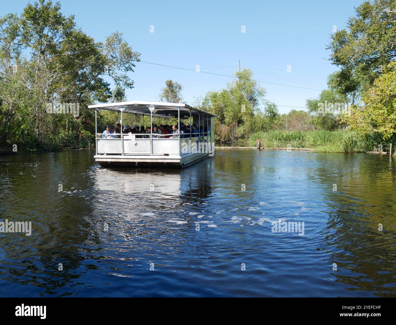 Louisianas bayou country hi-res stock photography and images - Alamy