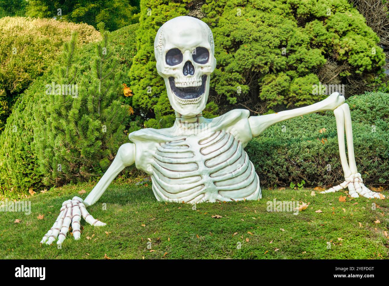Skeletons on lawns hi-res stock photography and images - Alamy