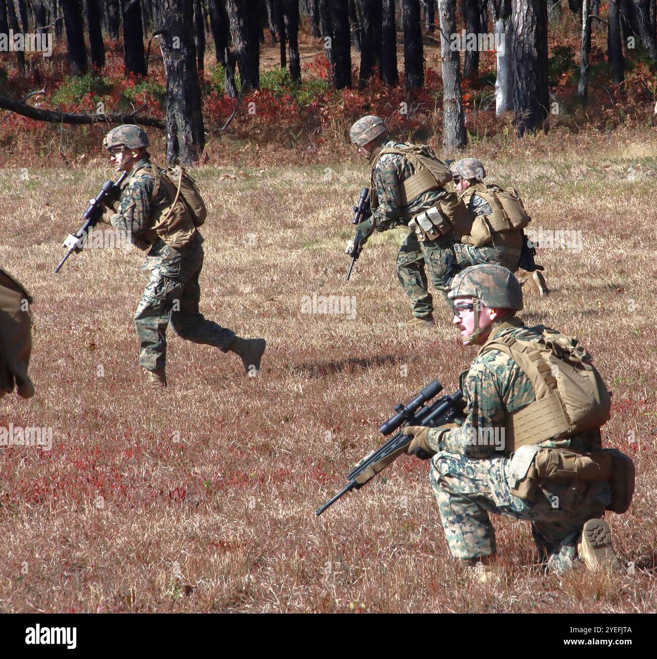 Fire teams move out swiftly as other teams provide cover with live fire ...