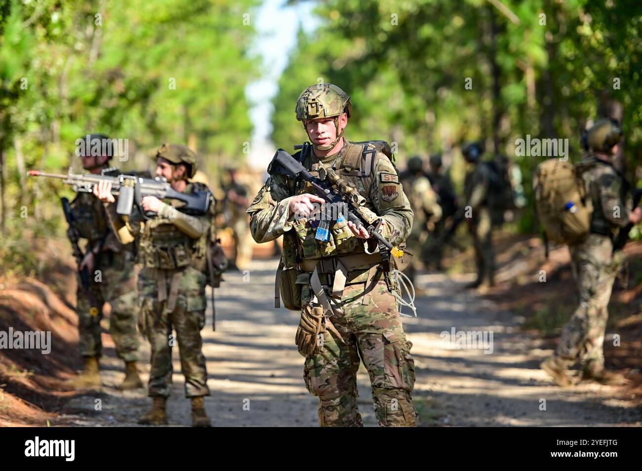Spooky weasel hi-res stock photography and images - Alamy