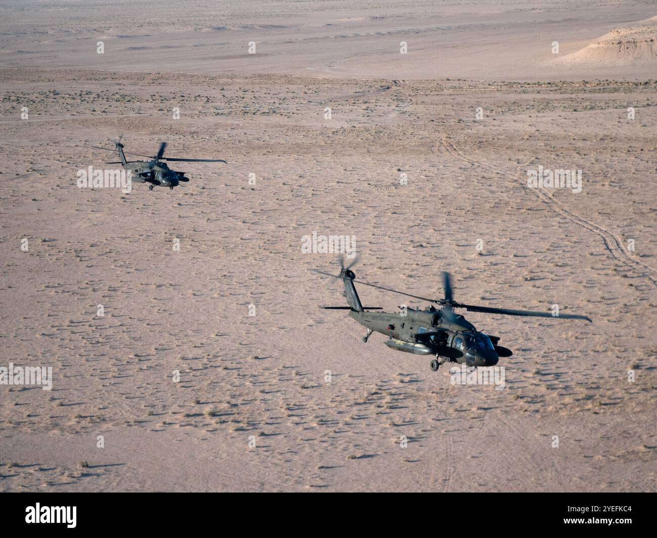 U.S. Army UH-60 Black Hawk helicopters assigned to 2nd Assault ...