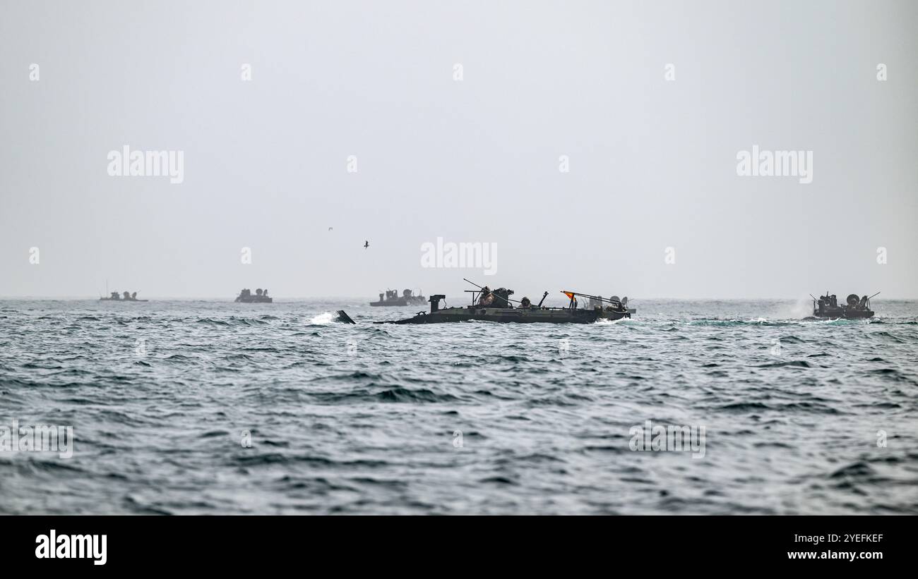 U.S. Marine Corps Amphibious Combat Vehicles assigned to 3rd Assault ...