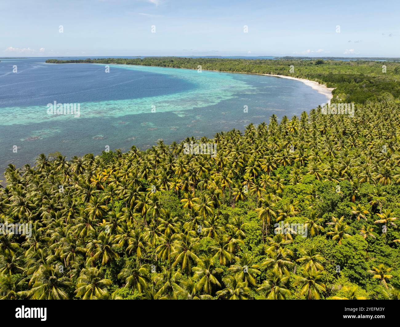 Pavuvu hi-res stock photography and images - Alamy