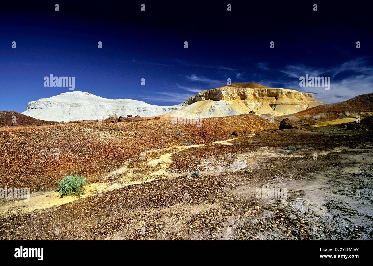 Great artesian basin hi-res stock photography and images - Alamy