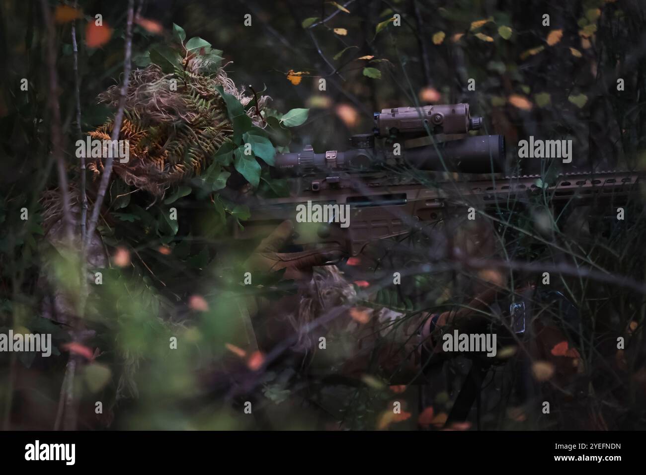 U.S. Army Spc. Drew Topp, a sniper with Headquarters and Headquarters ...