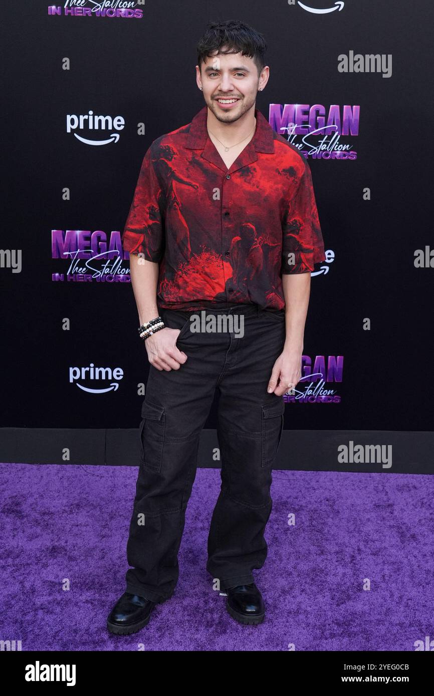 David Archuleta arrives at the premiere of "Megan Thee Stallion: In Her ...