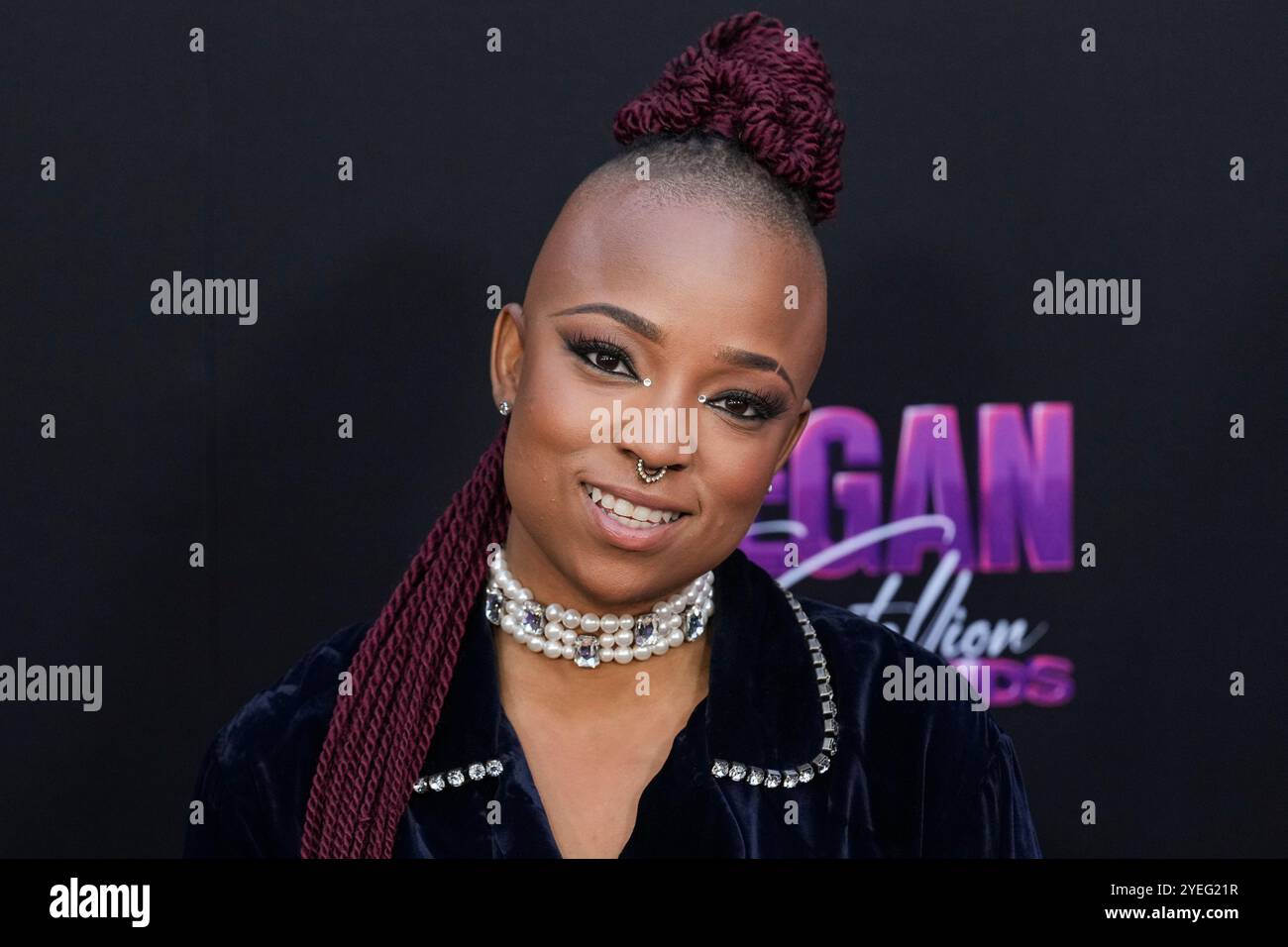 Nneka Onuorah arrives at the premiere of "Megan Thee Stallion: In Her ...
