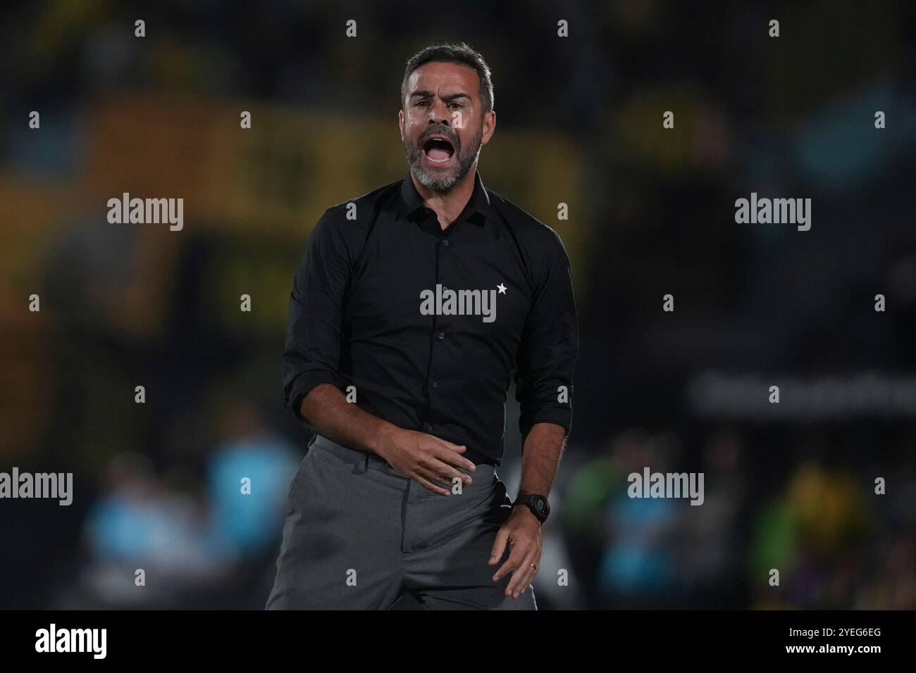 Coach Artur Jorge of Brazil's Botafogo directs his players during a ...