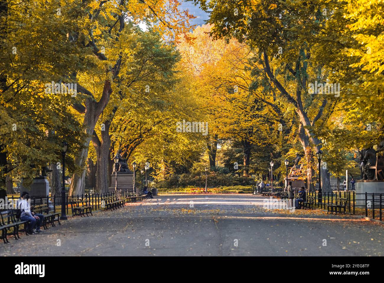 Strolling through Central Park's Literary Walk: A serene pathway lined ...